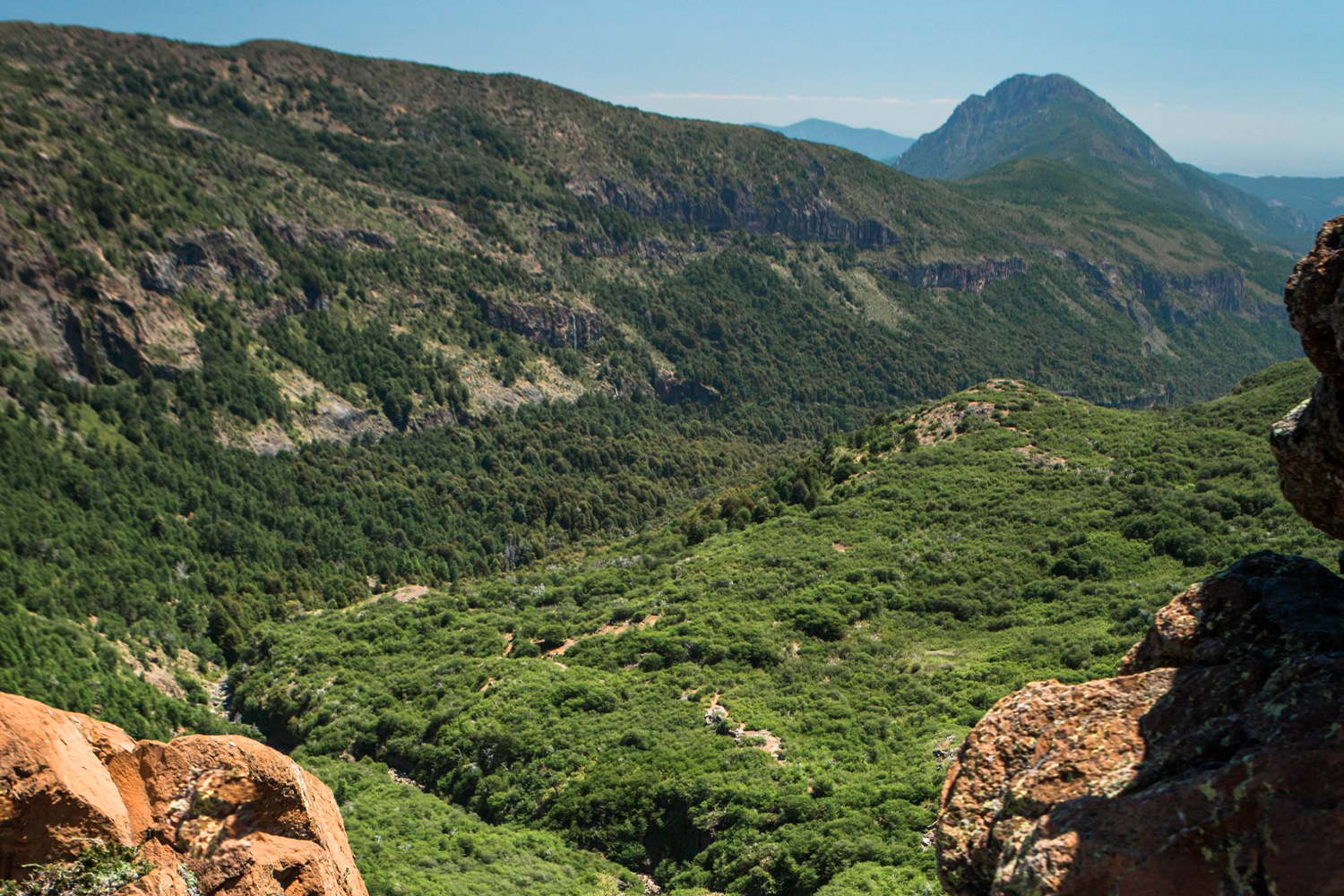 Atractivos – JUNGLA PEUMAYEN